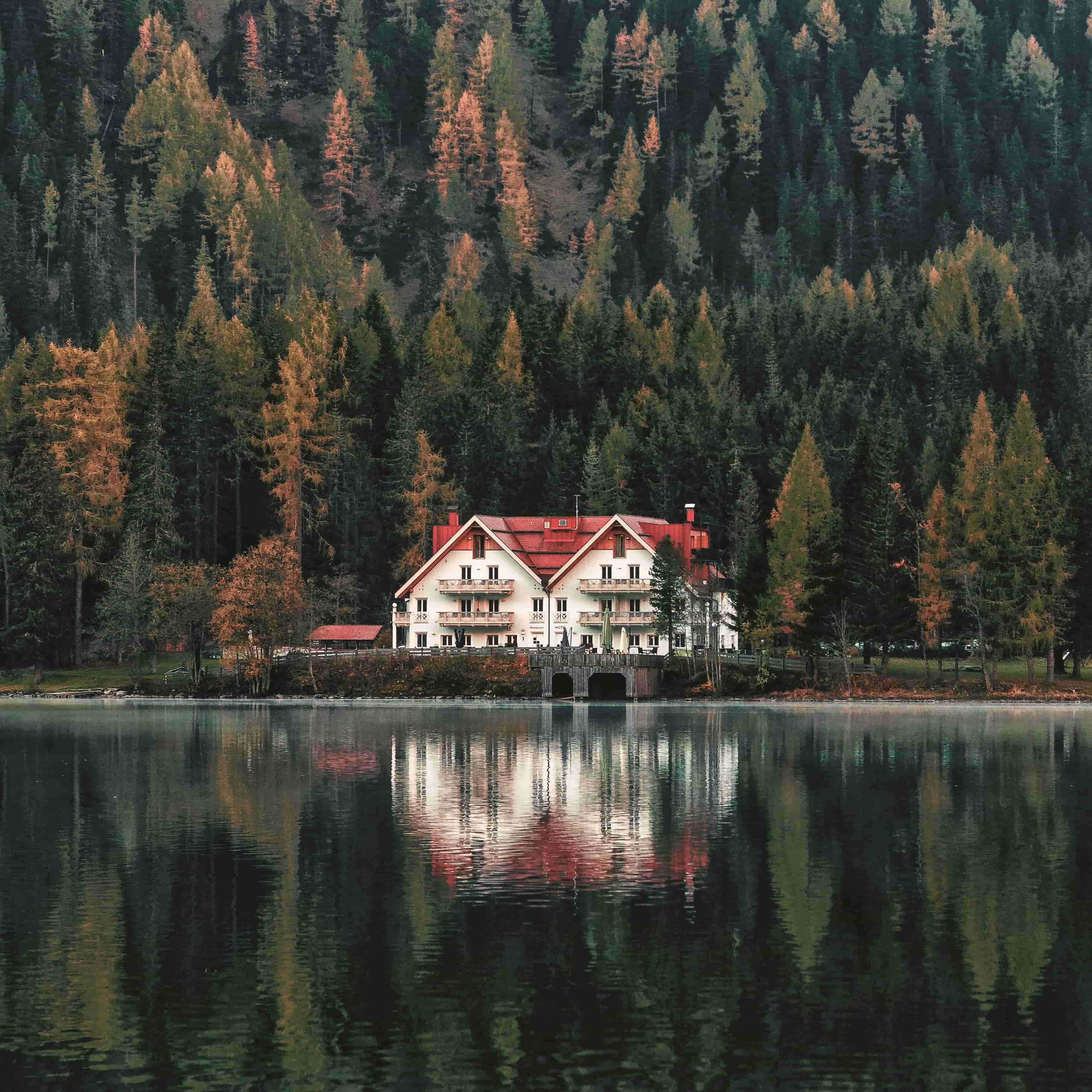 Navigating the Estate Tax Exemption Sunset - Forrest Financial Partners